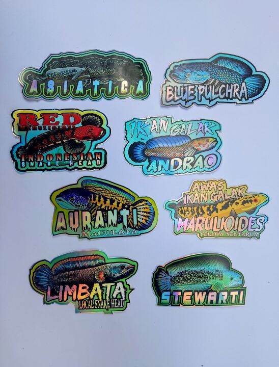 STIKER MINI HOLOGRAM. IKAN CHANNA | Lazada Indonesia