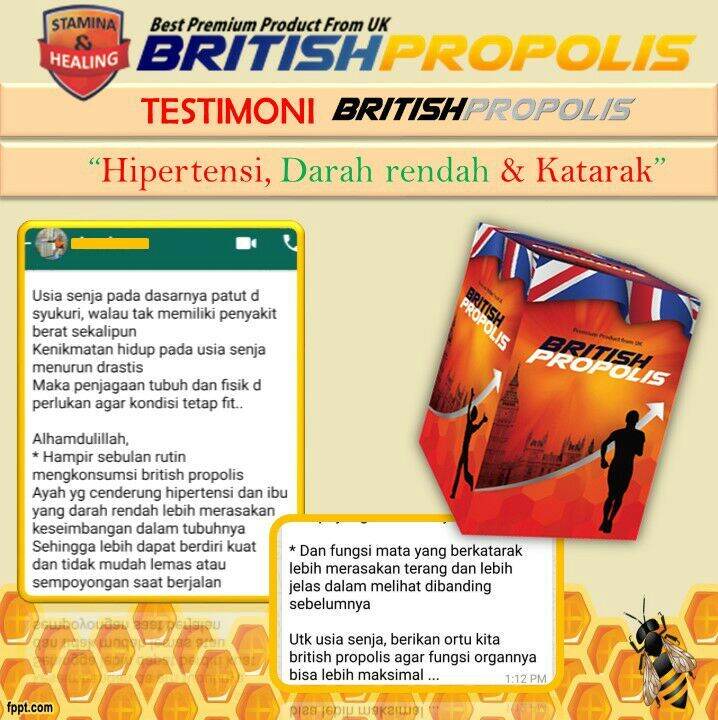 BRITISH PROPOLIS | Lazada Indonesia