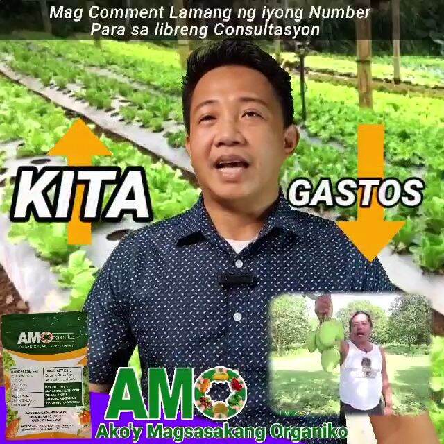 100g AMO Plant Growth Enhancer Seaweed Organic Fertilizer | Lazada PH