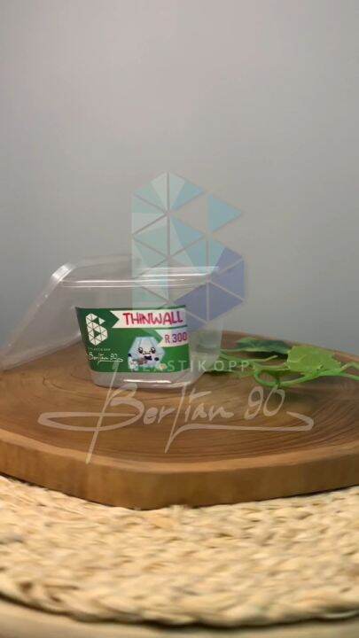 Isi 25 Pcs Thinwall 300 Ml Persegi Panjang Kotak Makan Plastik