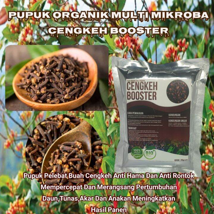 Pupuk Organik Multi Mikroba Cengkeh Booster Pupuk Pelebat Buah Cengkeh Anti Hama | Lazada Indonesia