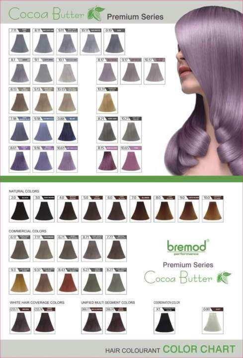 Bremod Premium Series Cocoa butter hair color 100ml | Lazada PH