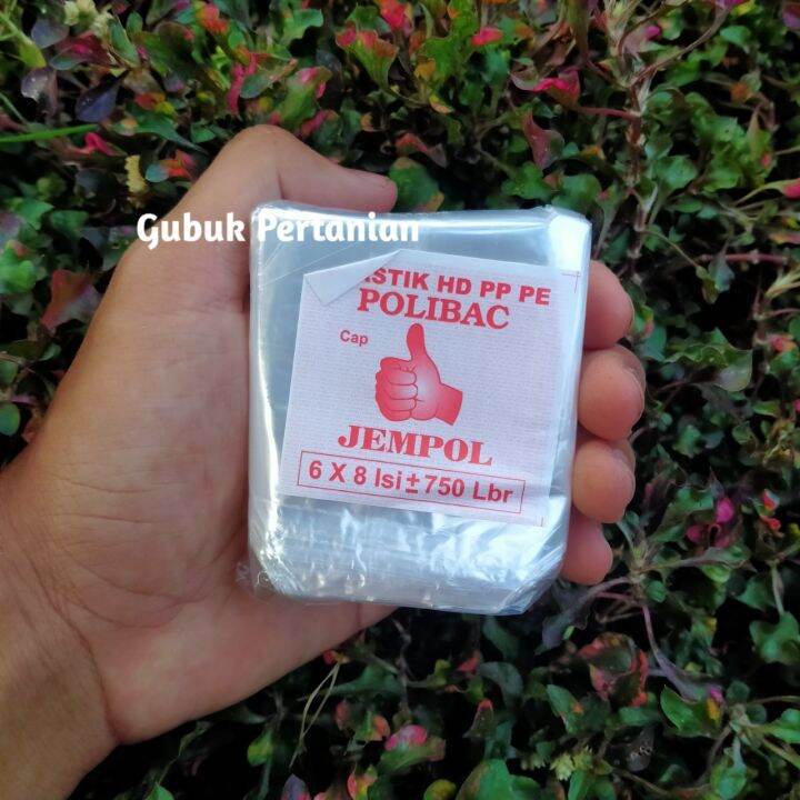 Plastik Polibag Jempol/Platik Polybag Kecil Isi 750 Lembar | Lazada ...