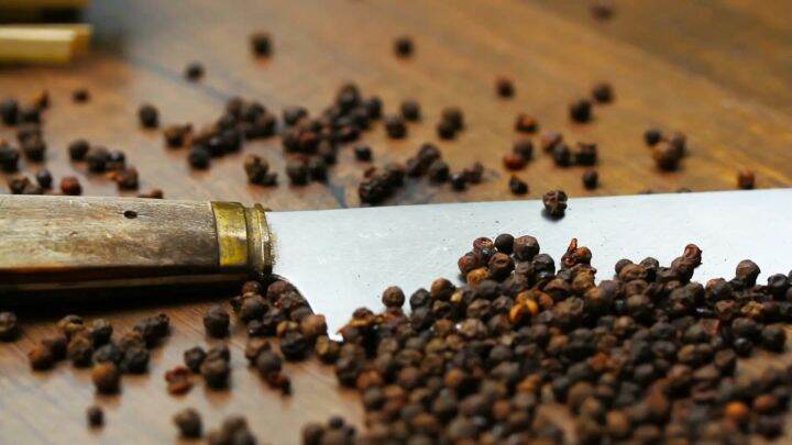 BLACK PEPPER (PAMINTA) | Lazada PH