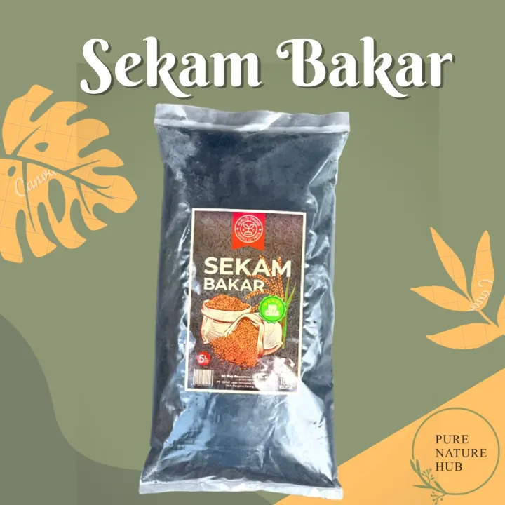 Sekam Padi Bakar Burnt Paddy Husk 5L Rice Husk Ash Gardening Planting ...