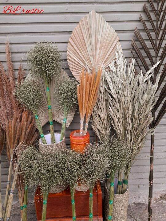 bunga kering rustic | Lazada Indonesia