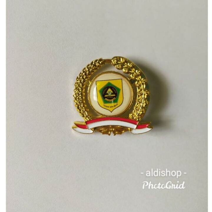 PIN LOGO KABUPATEN BOGOR | Lazada Indonesia