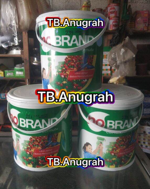 CAT TEMBOK NO BRAND CAT TEMBOK MURAH 4.5kg 5kg Kemasan 5kg | Lazada ...