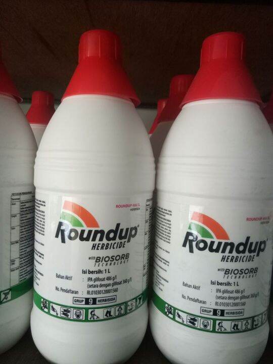 Roundup herbisida sistemik basmi rumput liar 1 liter | Lazada Indonesia