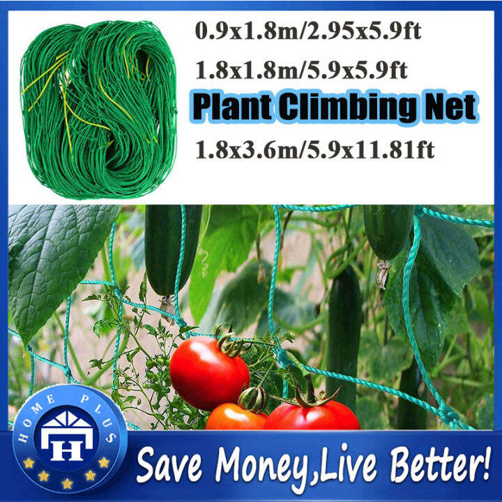 【Local delivery】 Plant Climbing Netting Nylon Flower Vine Support Rope ...
