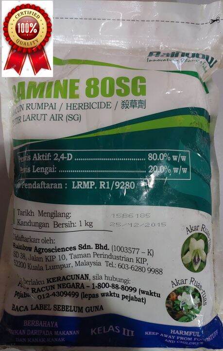 RAMINE 80 SG 1KG RAINBOW | Lazada