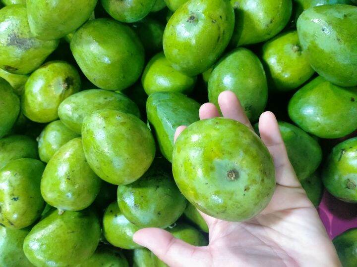 Indian Mango 1 Kilo (Metro Manila Only) | Lazada PH