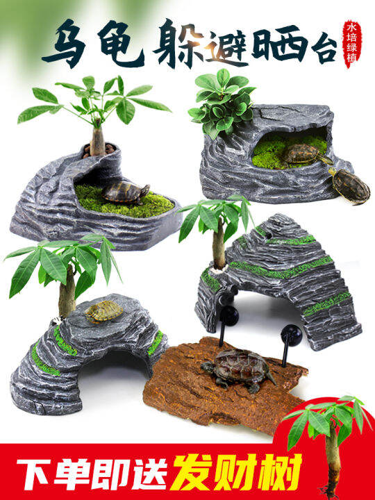Turtle Basking Platform Climbing Platform Turtle Tank Landscaping