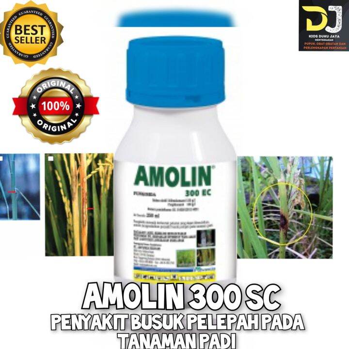 Fungisida AMOLIN 300 EC 250ml untuk mengendalikan penyakit busuk ...