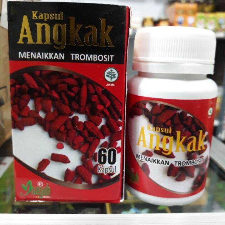 Angkak kapsul original | Lazada Indonesia