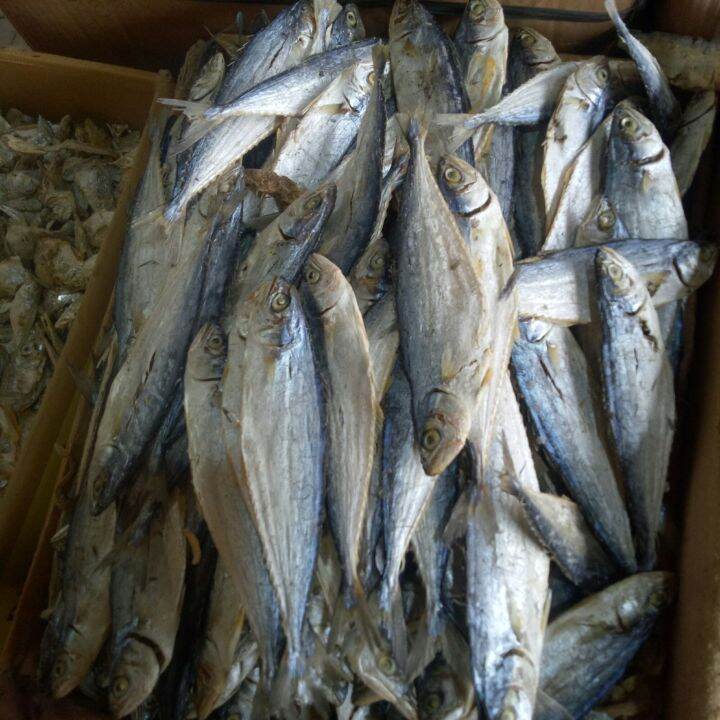 Ikan Asin Selar Bambu Rebus 1 kg | Lazada Indonesia