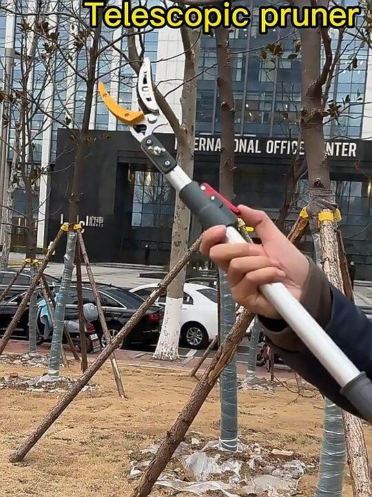 Telescopic High Branch Pruning Shears Heavy Duty Fruit Picker with Long ...
