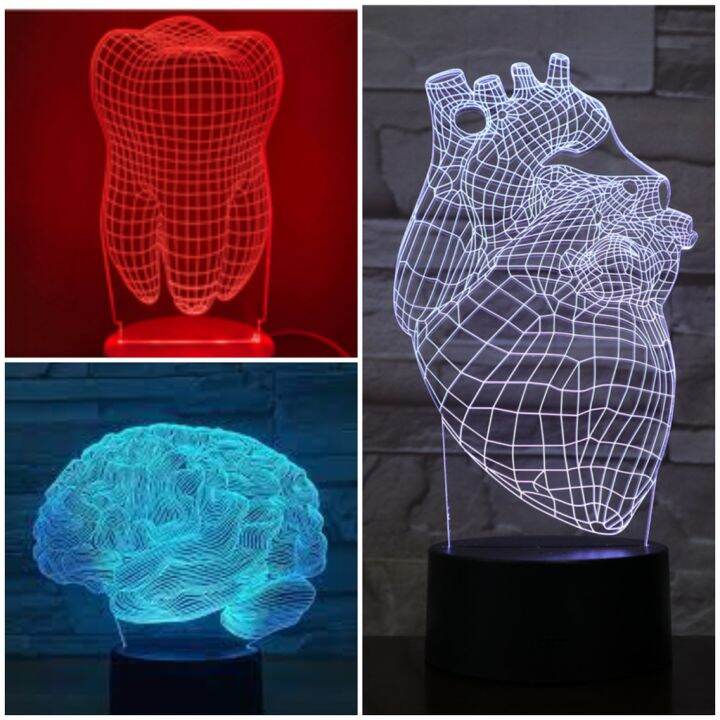 Body Parts LED Acrylic Lamp Tooth Heart Brain for Medical or Dentists ...