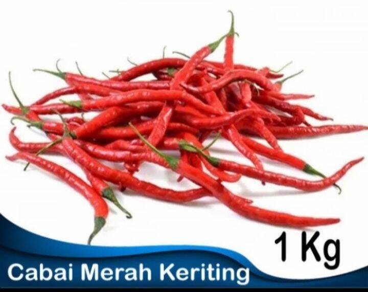 Cabe Keriting Merah 1 kg | Lazada Indonesia