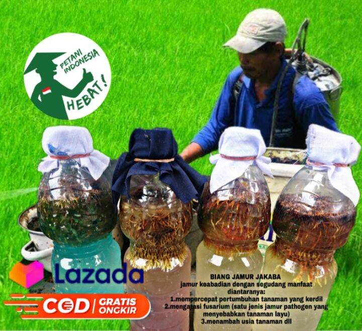JAMUR JAKABA 500ml dan PSB SUPER JAKABA /BIANG JAMUR JAKABA/JAMUR ...