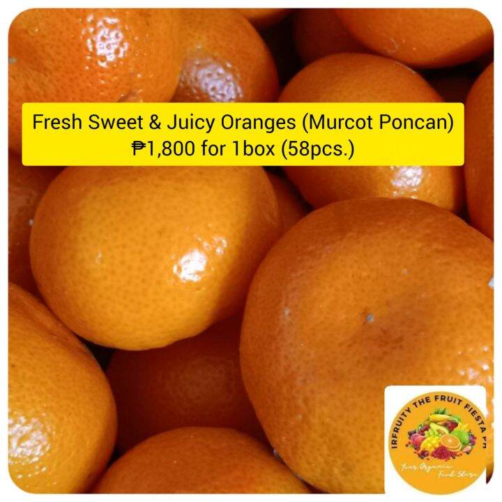 Growing Golden Healthy Crops Ph F.S Oranges Honey Murcot Poncan ...