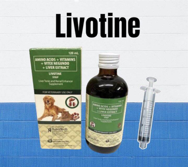 LIVOTINE SYRUP 120ML | Lazada PH