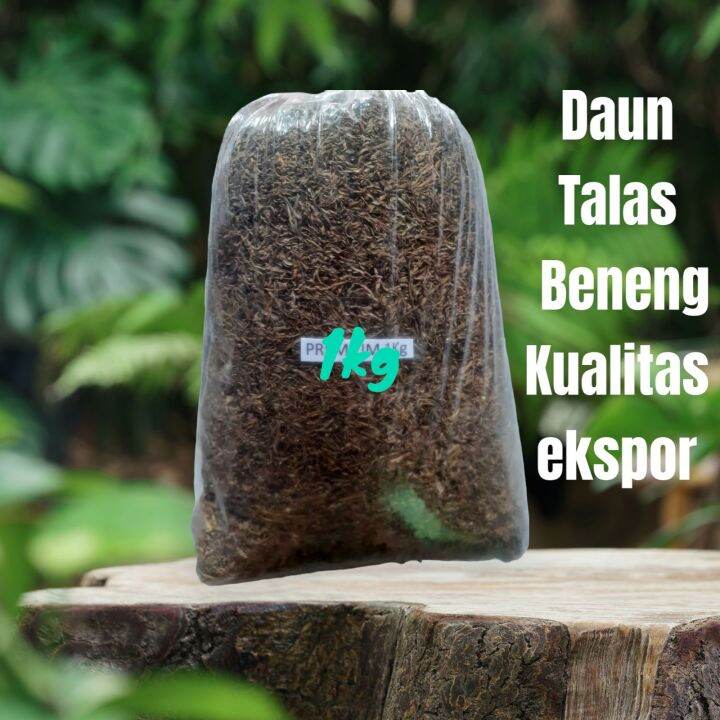 DAUN TALAS KERING TRADISIONAL HERBAL RAJANGAN HALUS KUALITAS PREMIUM ...