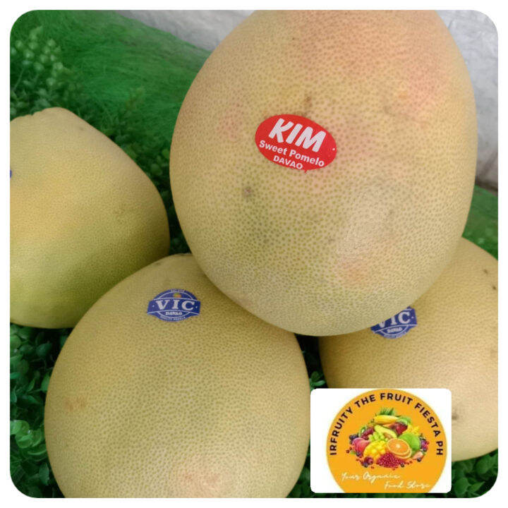 Growing Golden Healthy Crops Ph F. Sweet Davao Pomelo We Ship ...