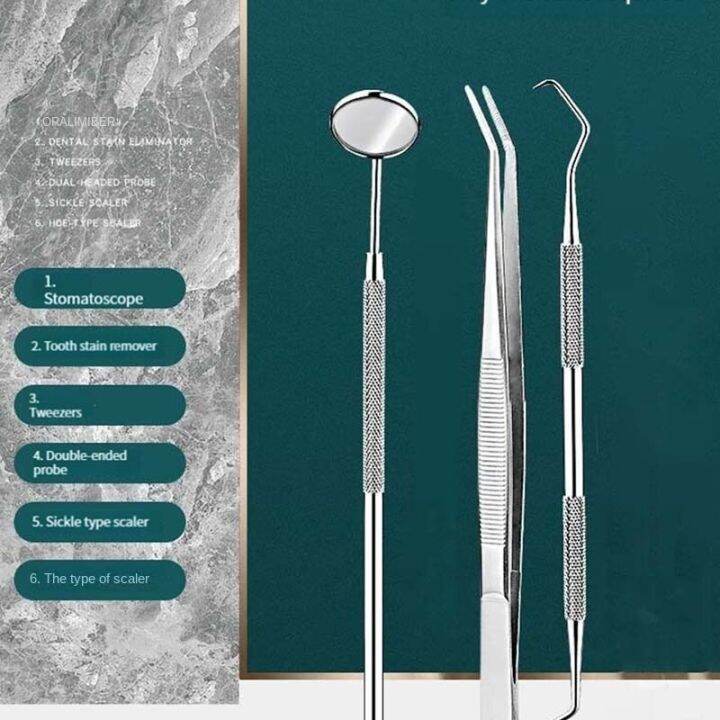 3PCS Stainless Steel Dental Tool Set Dental Oral Care Endoscopic ...