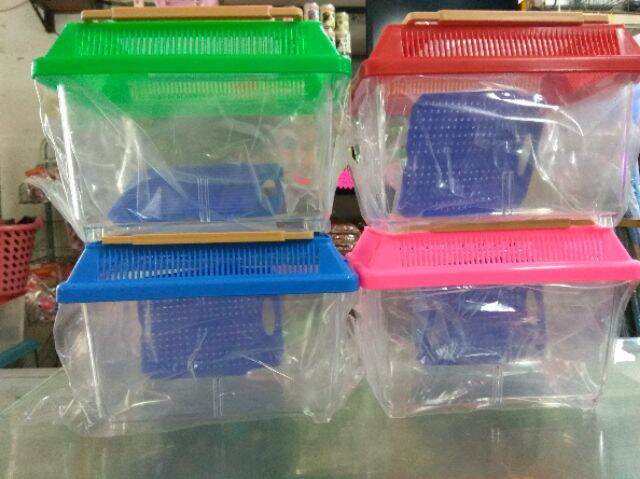 Guppy Fighting Fish Tank 180mm | Lazada