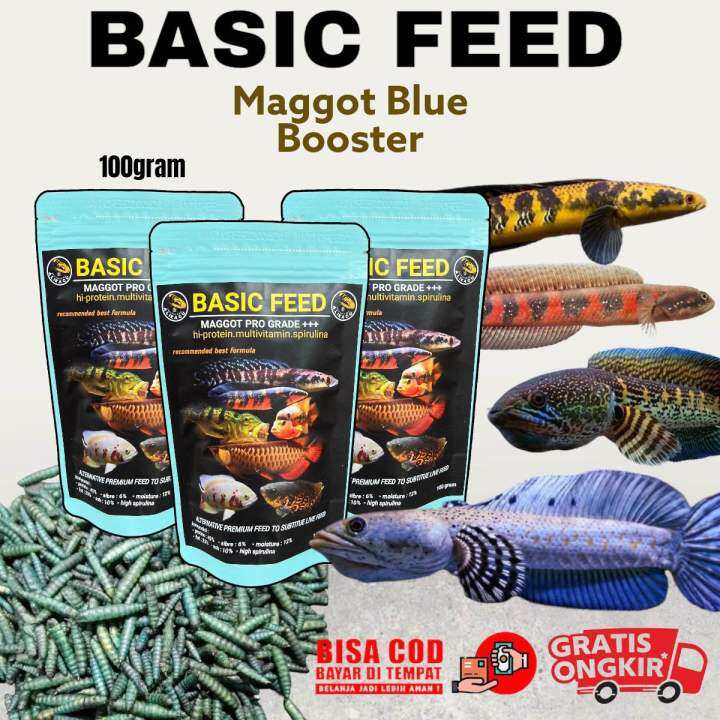 BASIC FEED MAGGOT BLUE | maggot pro biru 100gr | pakan ikan | makanan ...