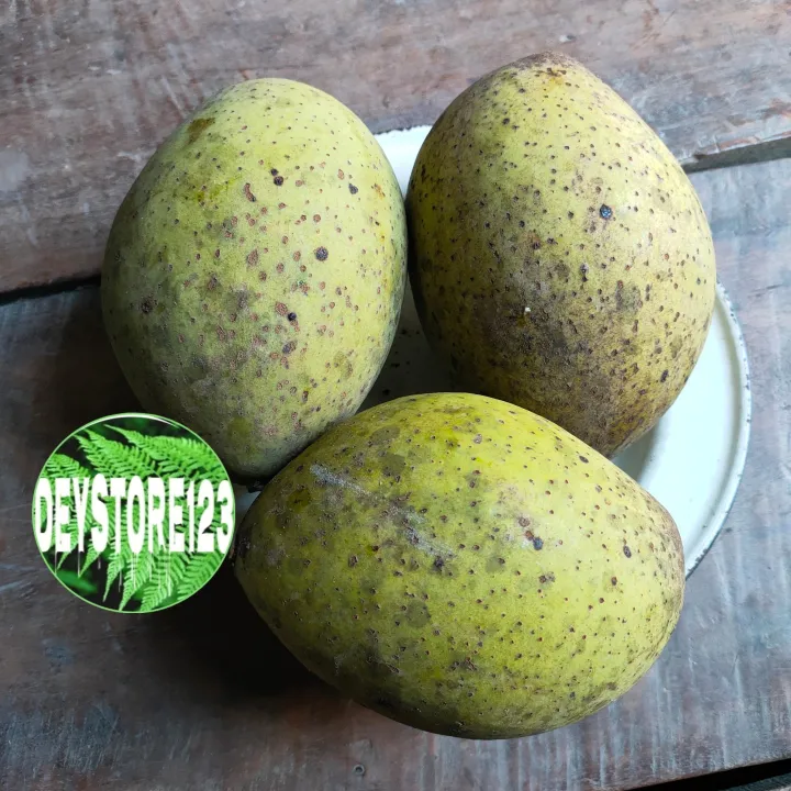 Buah limus mateng kualitas super | Lazada Indonesia