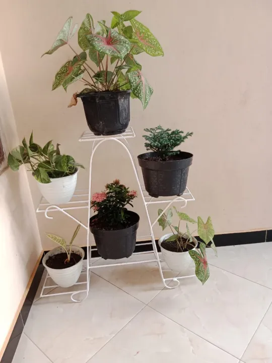 RAK /RAK BUNGA SUSUN 6 / RAK BUNGA/ RAK TANAMAN HIAS | Lazada Indonesia