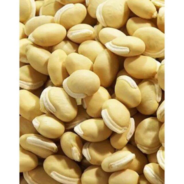 Field Beans Mochai Kottai 200g | Lazada