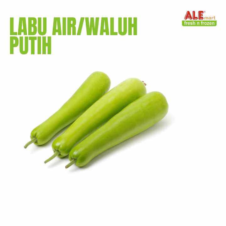 Labu air fresh, labu putih, waluh putih, labu air | Lazada Indonesia