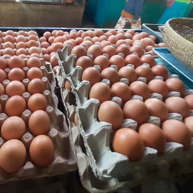 Telur Ayam Negeri Premium/1Kg | Lazada Indonesia