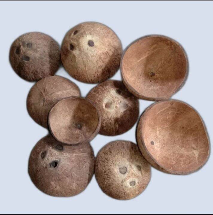 BATOK KELAPA SETENGAH BULAT~BATOK KELAPA UNTUK KERAJINAN TANGAN~UNTUK ...