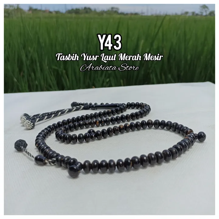 Tasbih Yuser Yusr Laut Merah Mesir | Lazada Indonesia