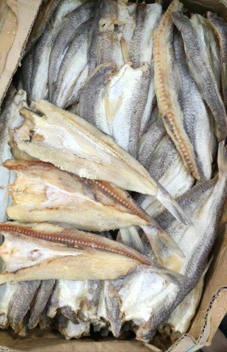 DRIED PUGOT KALASO | DRIED FISH | 1KG | Lazada PH