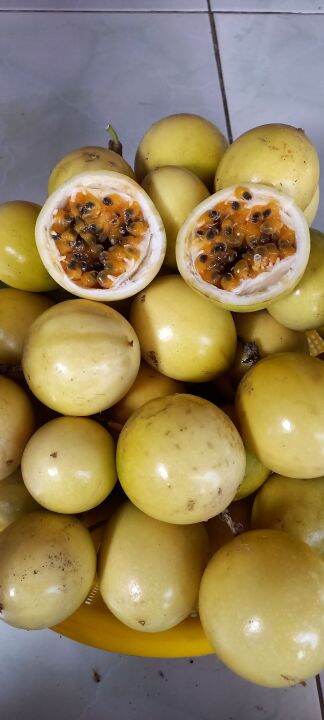 buah markisa kuning/merah segar 1kg | Lazada Indonesia