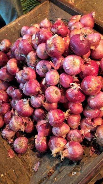 bawang merah india 1 kg | Lazada Indonesia