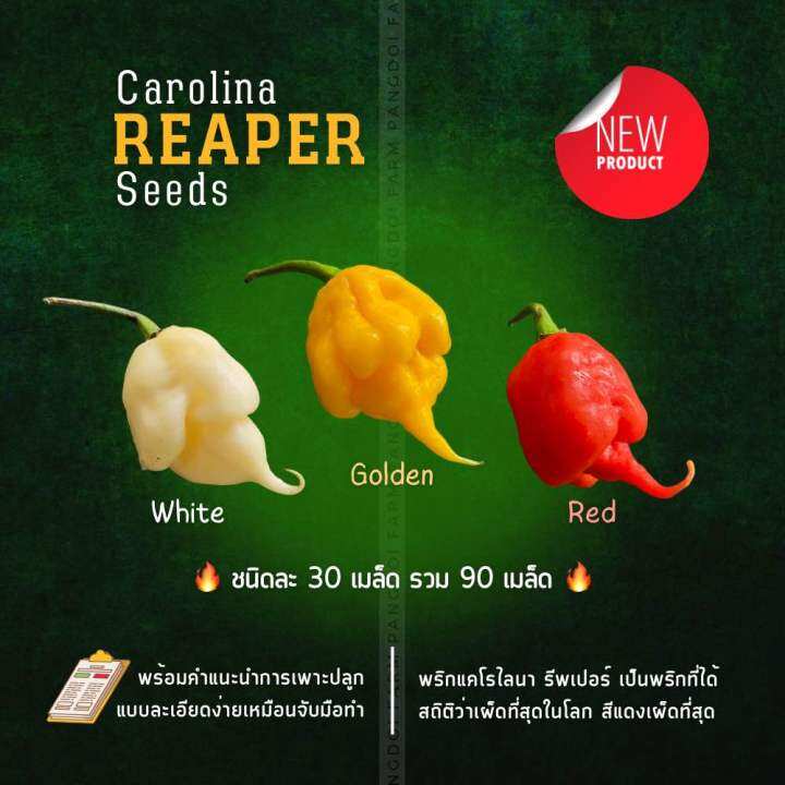 เมล็ดพันธุ์พริก Carolina Reaper 3 สี (red,golden,white)สวยและเผ็ดที่สุด ...