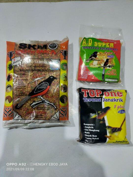 Voer SKM kasar dan tepung kroto jangkrik super | Lazada Indonesia