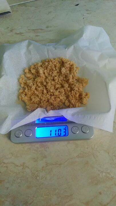 Telur maggot bsf paket 10 gram/Bergaransi 100%/telur magot bsf anti ...