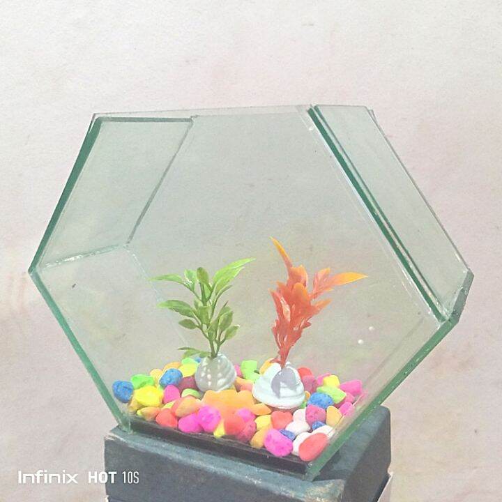 Aquarium Kaca ikan cupang satu set Akuarium HEXSAGONAL Soliter ikan ...