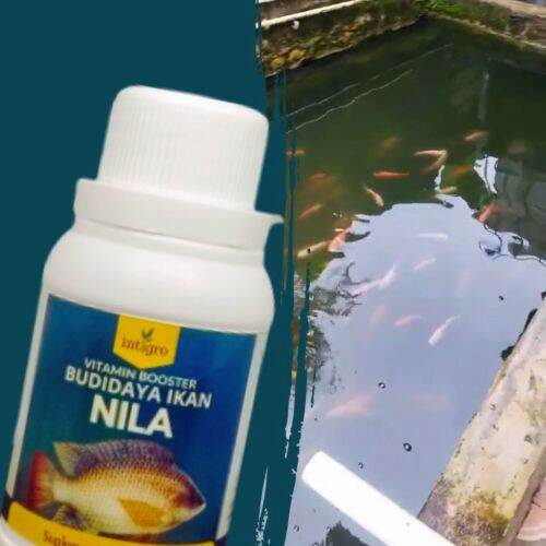 Vitamin Ikan Nila Cepat Besar / Multivitamin Untuk Ternak Ikan Nila / Obat Ikan Nila Cepat Besar ...
