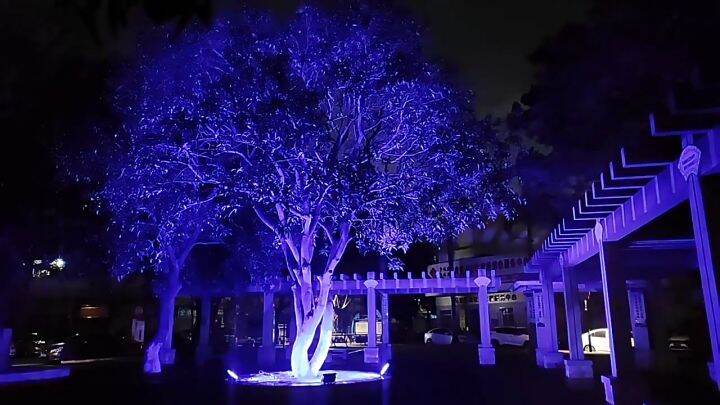 Remote control LED RGB floodlight AC 220V outdoor IP66 waterproof ...