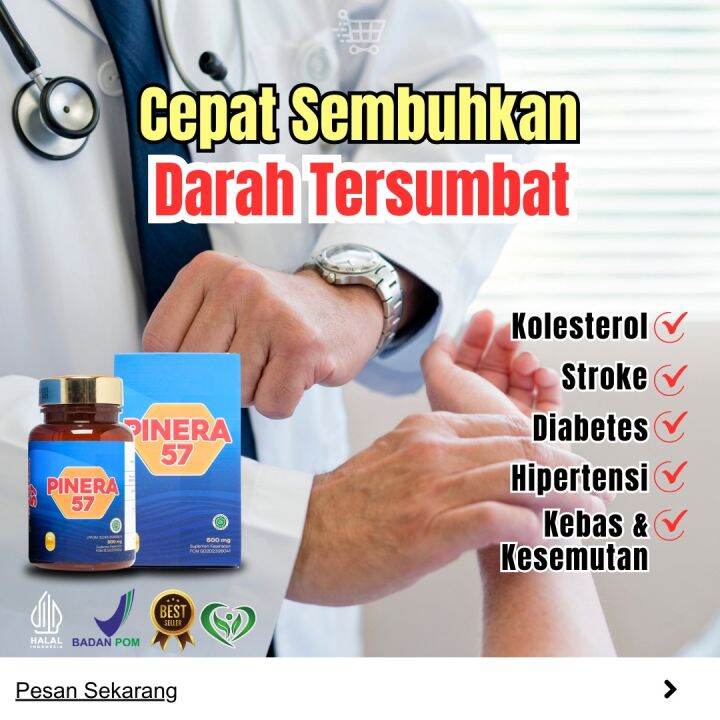 pinus merah Korea/PINERA 57 original/melancarkan peredaran darah ...