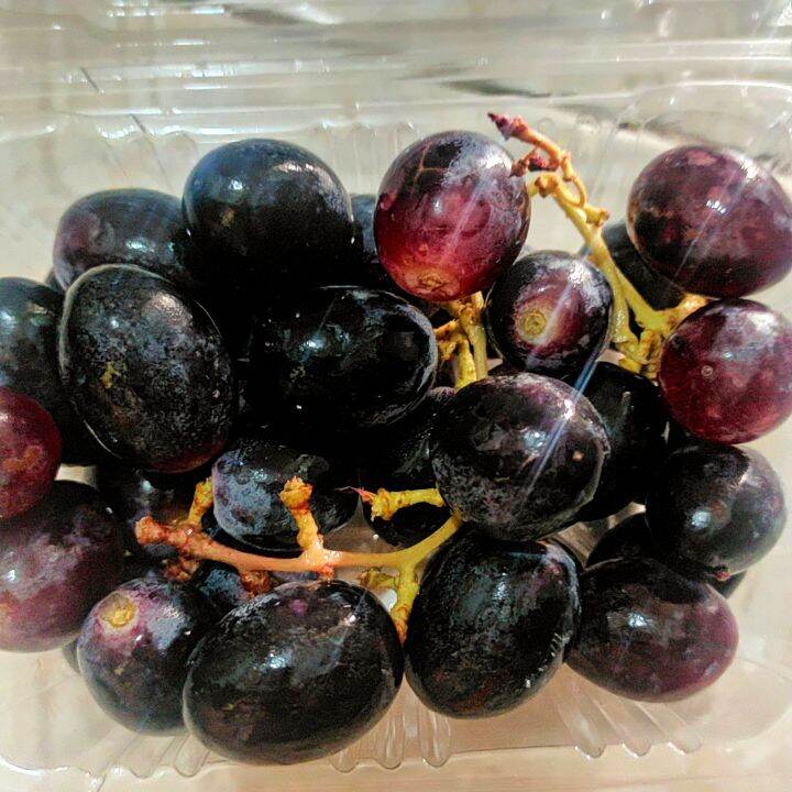 Buah Anggur Hitam Tanpa Biji Fresh Anggur Black Autum Seedless Buah ...