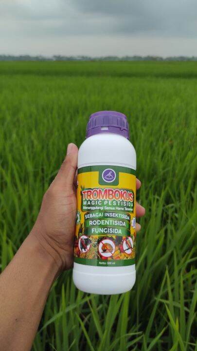 Trombokus megic pestisida pengusir burung dan tikus obat hama padi ...